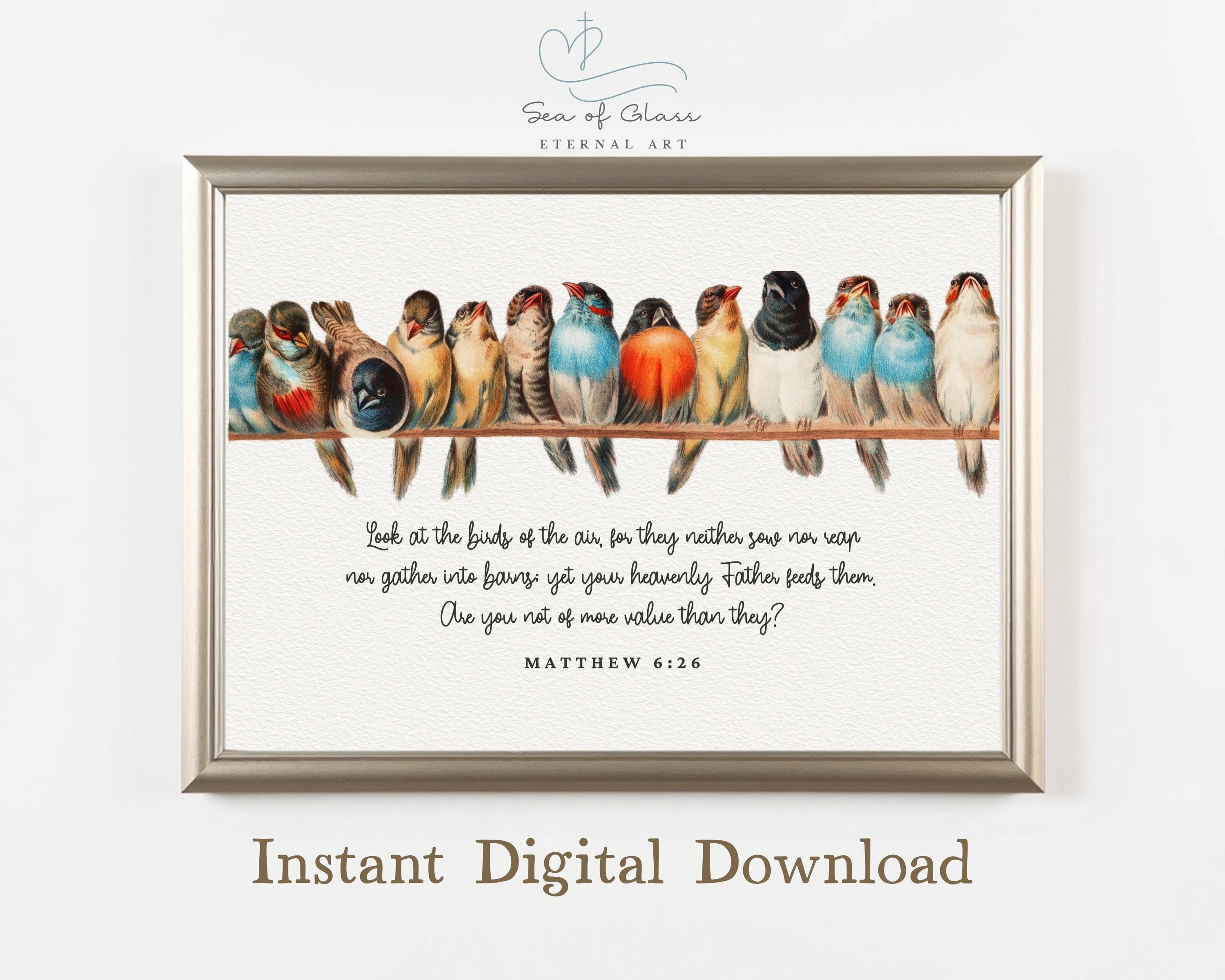 Vintage Birds Illustration Matthew : - Look At The Birds Wall Art ...