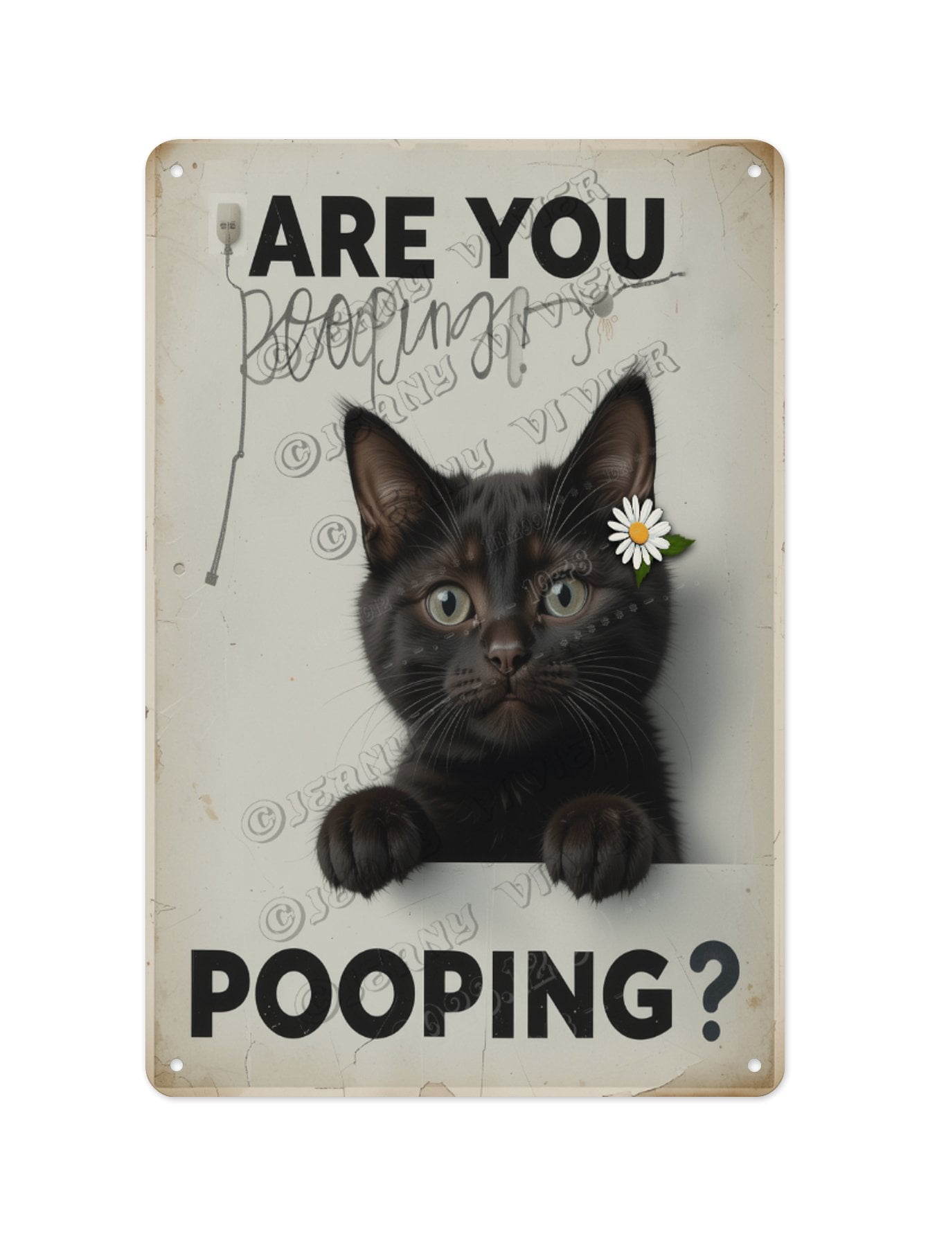 Vintage Black Cat Are You Pooping Aluminum Tin Sign 5.5 x 8 Inches ...