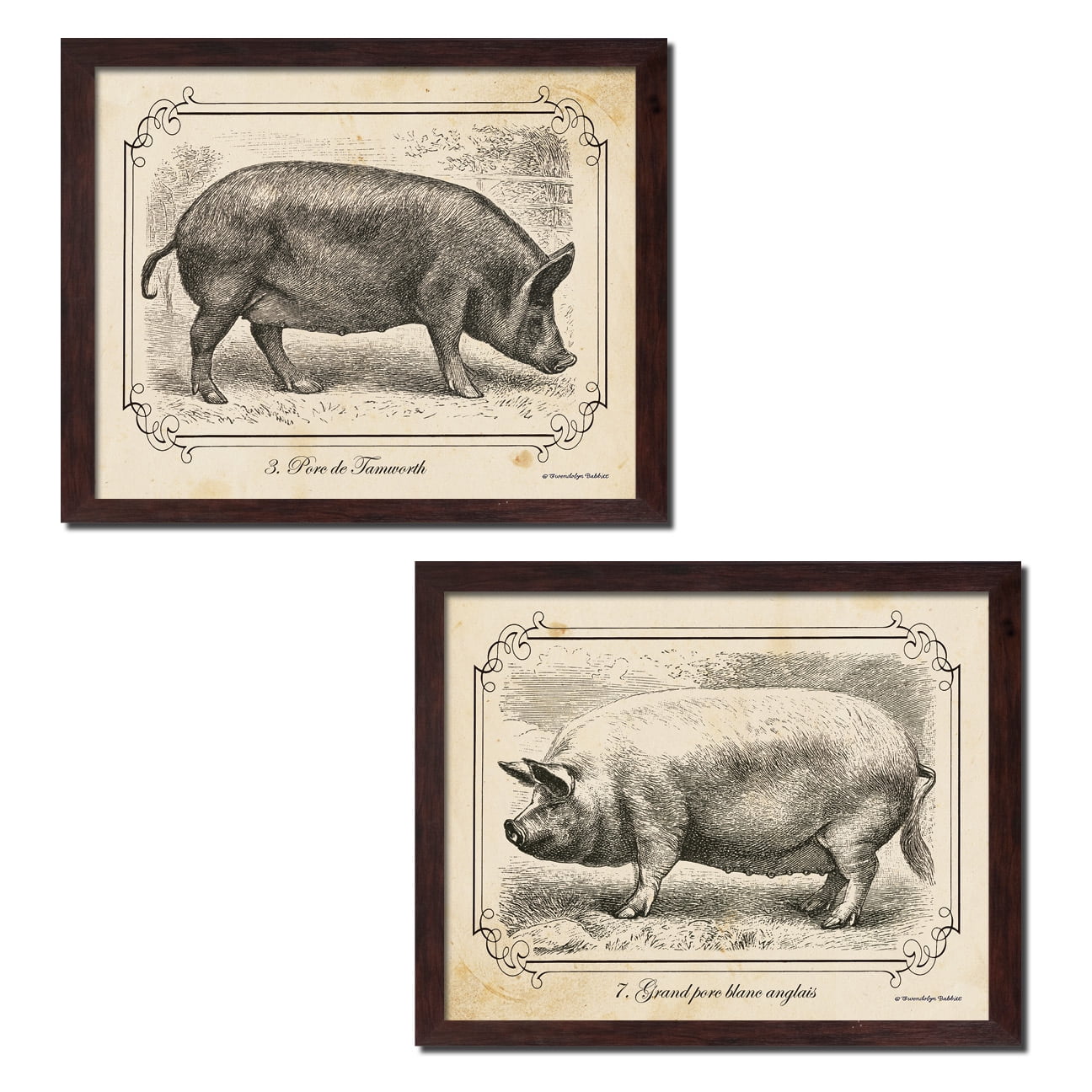 Vintage Black and White Pig Grayscale Drawing Set; Two 14x11in Brown ...