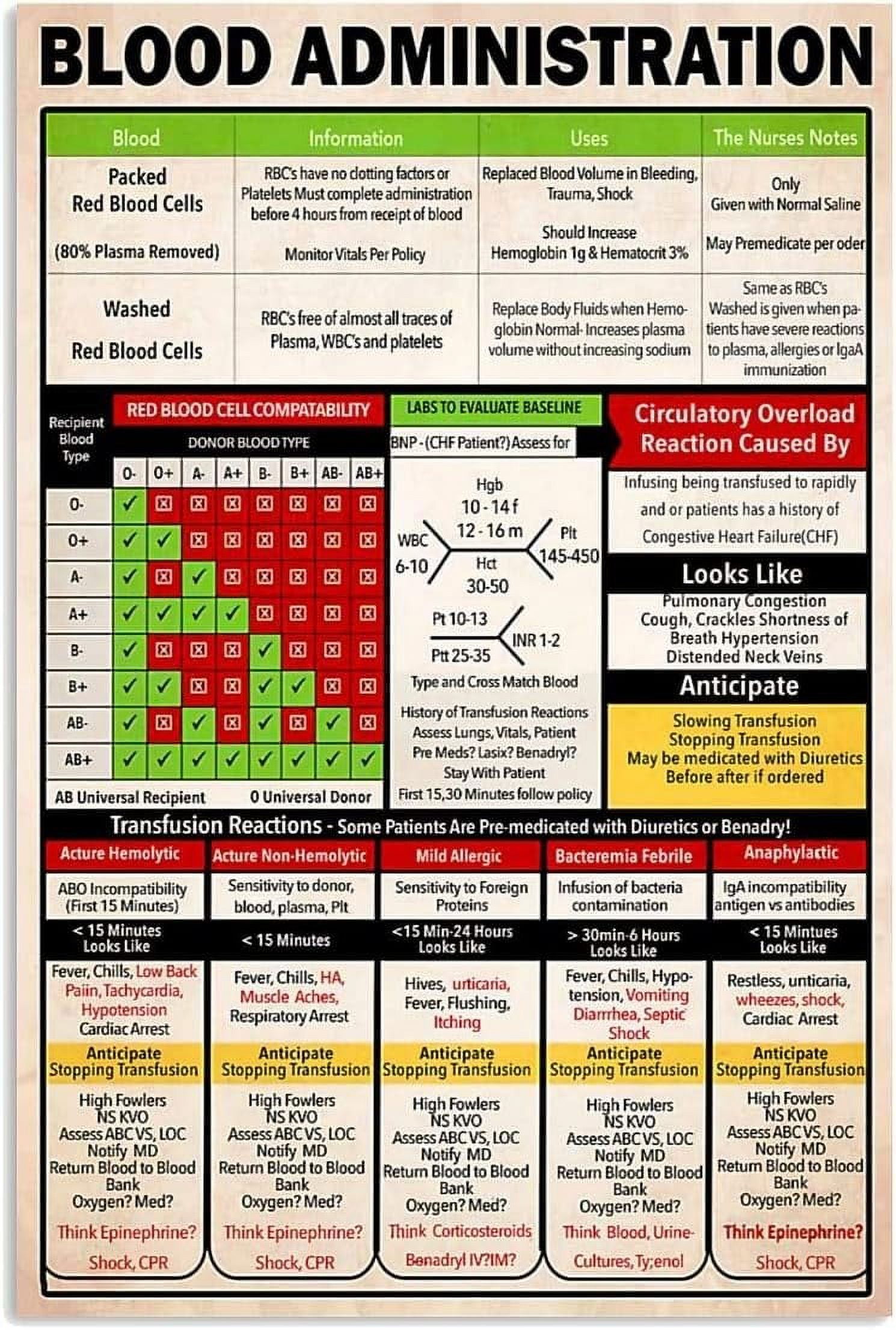 Vintage Blood Administration Infographic Metal Sign Medical Knowledge ...