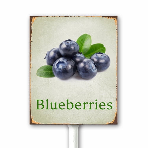 Vintage Blueberries Metal Fruit Garden Sign With Stake, Fruits Garden ...