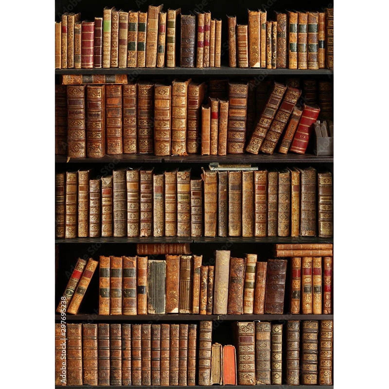 Vintage Bookshelf Book Library Photography Backdrops Portrait Photo ...