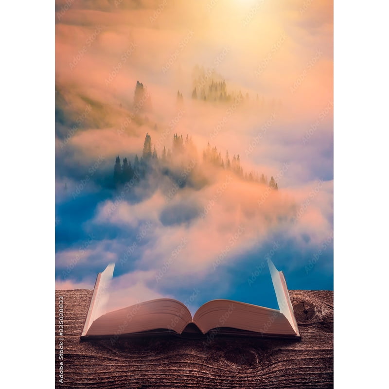 Vintage Bookshelf Book Library Photography Backdrops Portrait Photo ...