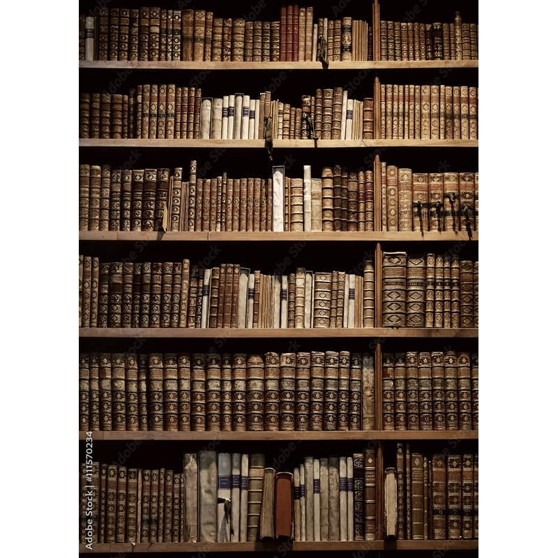 Vintage Bookshelf Book Library Photography Backdrops Portrait Photo ...