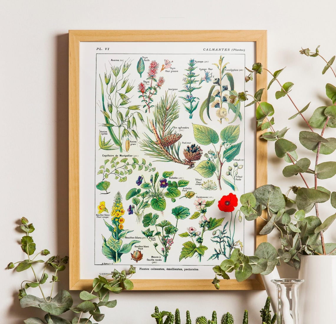 Vintage Botanical Chart Poster, Calming Plants Decor, Unframed Poster ...