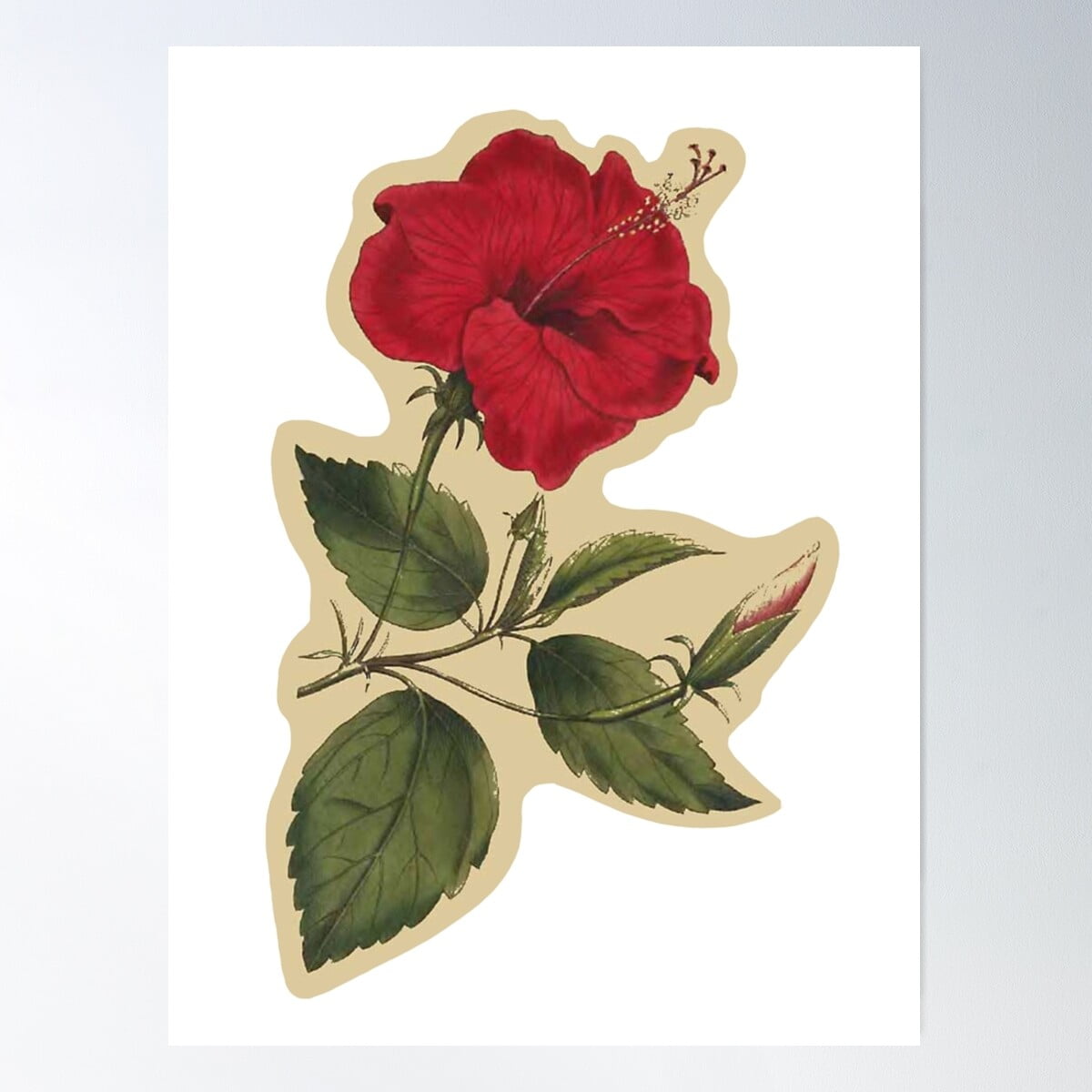 Vintage Botanical Design Poster Wall Art, Modern Wall Decor For Living ...