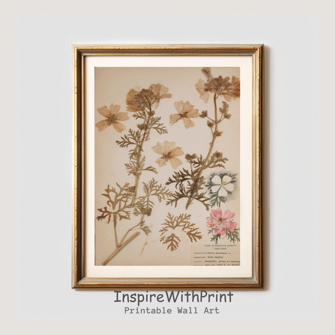Vintage Botanical Print, Moody Pressed Flower Art, Vintage Herbarium ...