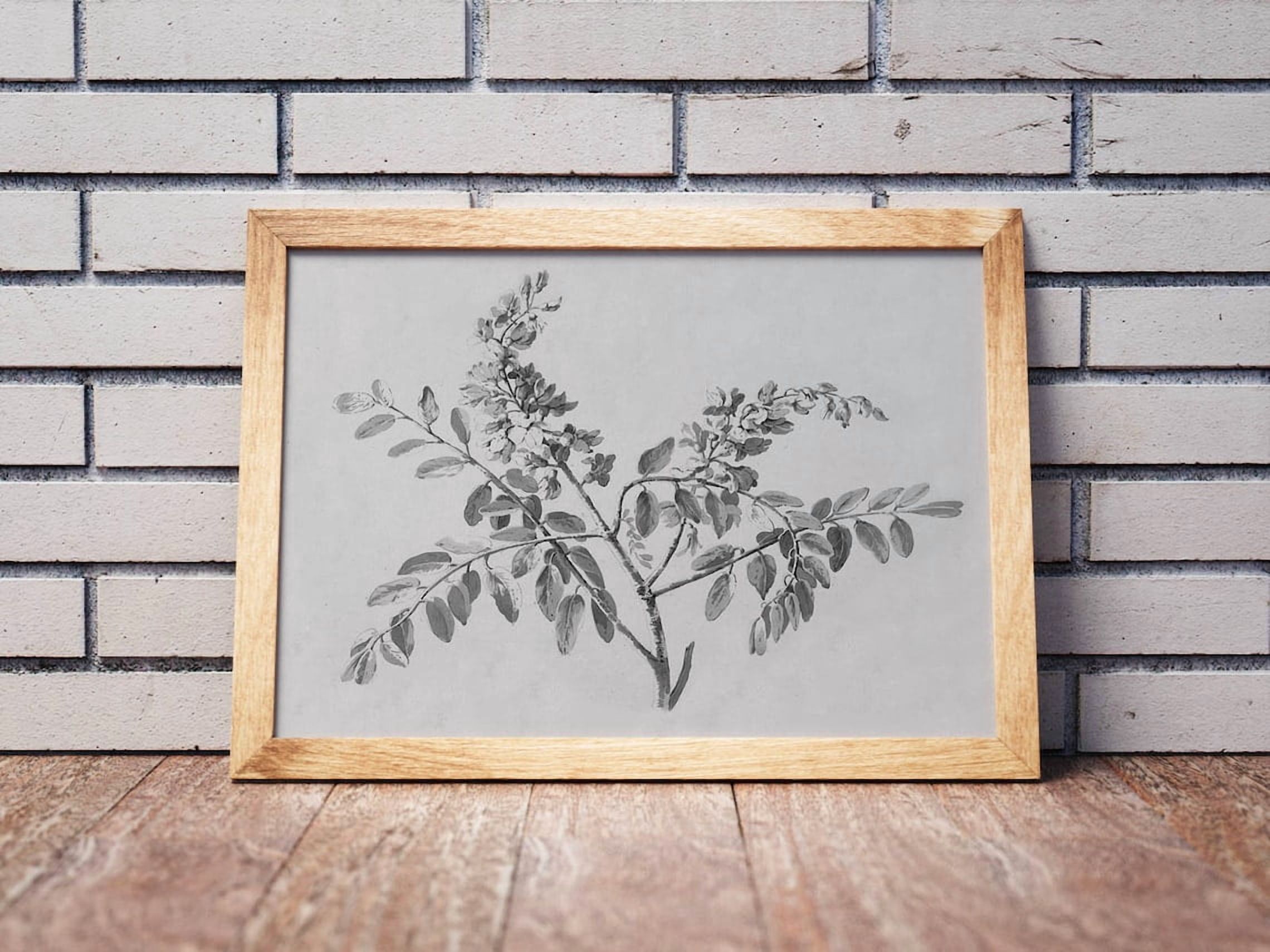 Vintage Botanical Sketch Print, Wall UNFRAMED Poster, Wall Art for ...