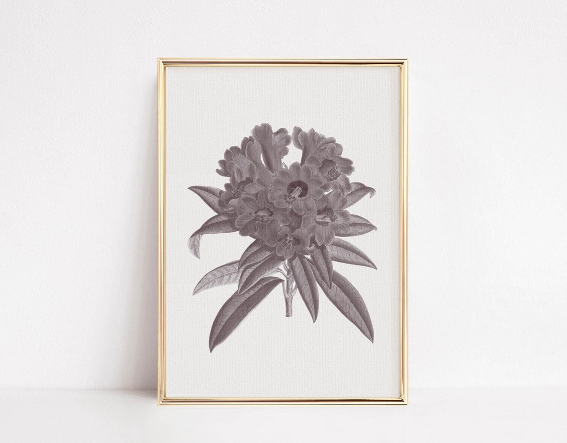 Vintage Botanical Wall Art Flower Poster Antique Decor Floral ...