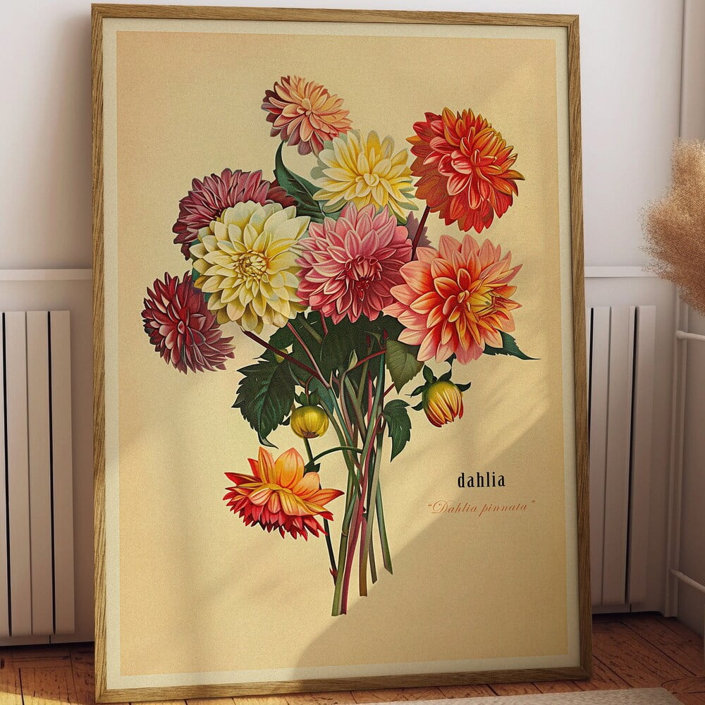 Vintage Bouquet Of Dahlias Print Flower Illustration Botanical Painting ...