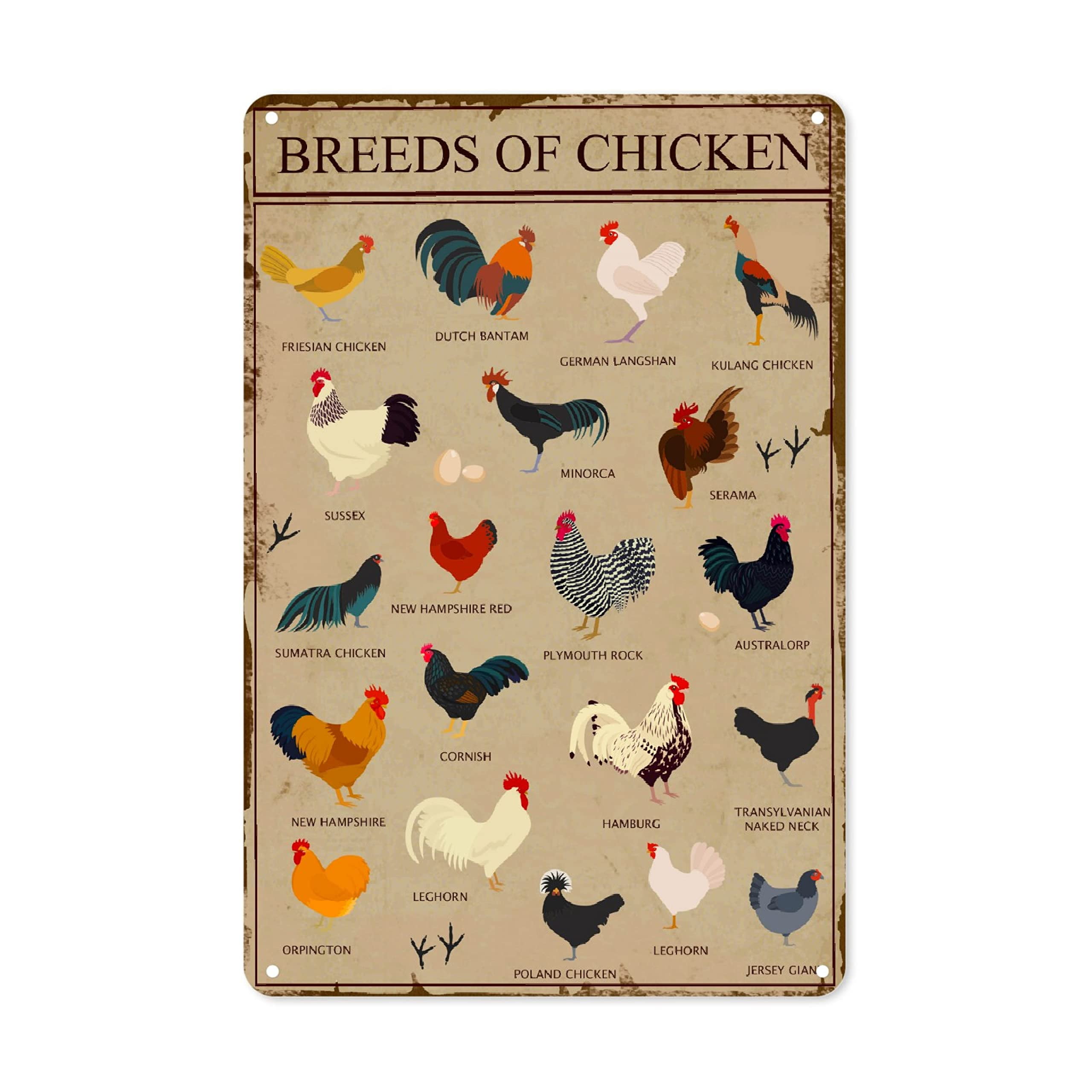 Vintage Breeds Of Chicken Metal Sign,Vintage Metal Wall Decor Poster ...