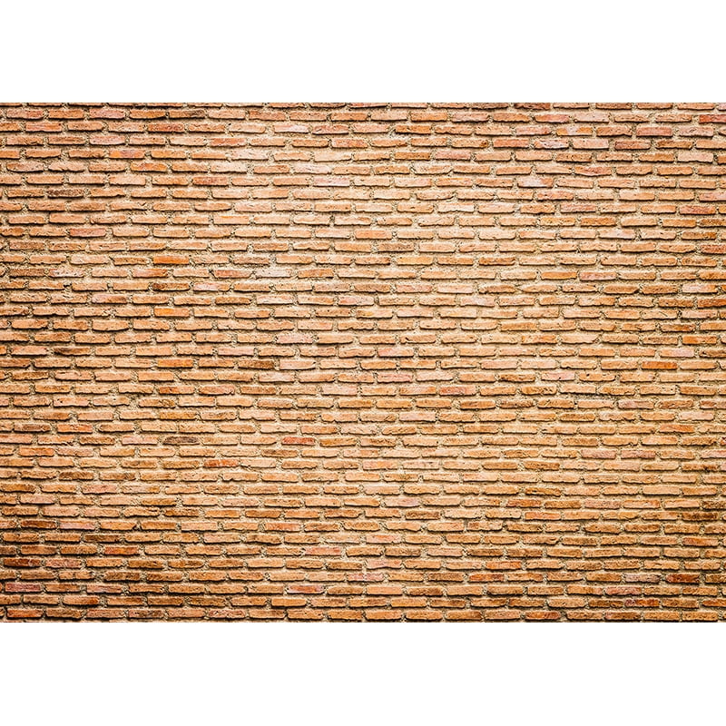 Vintage Brick Wall Backdrop Art Photography Backdrops Photographic ...