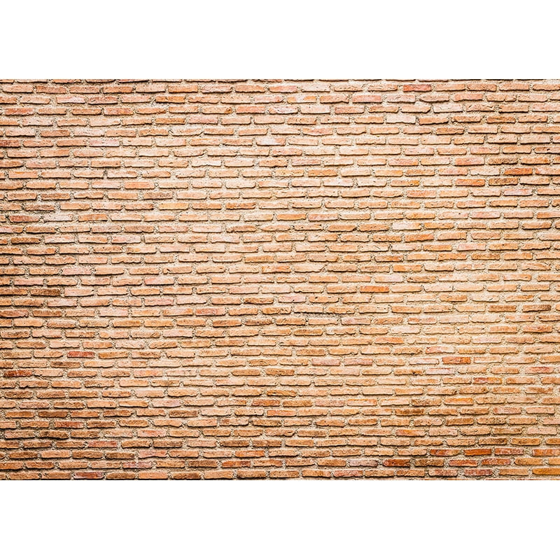 Vintage Brick Wall Backdrop Art Photography Backdrops Photographic ...