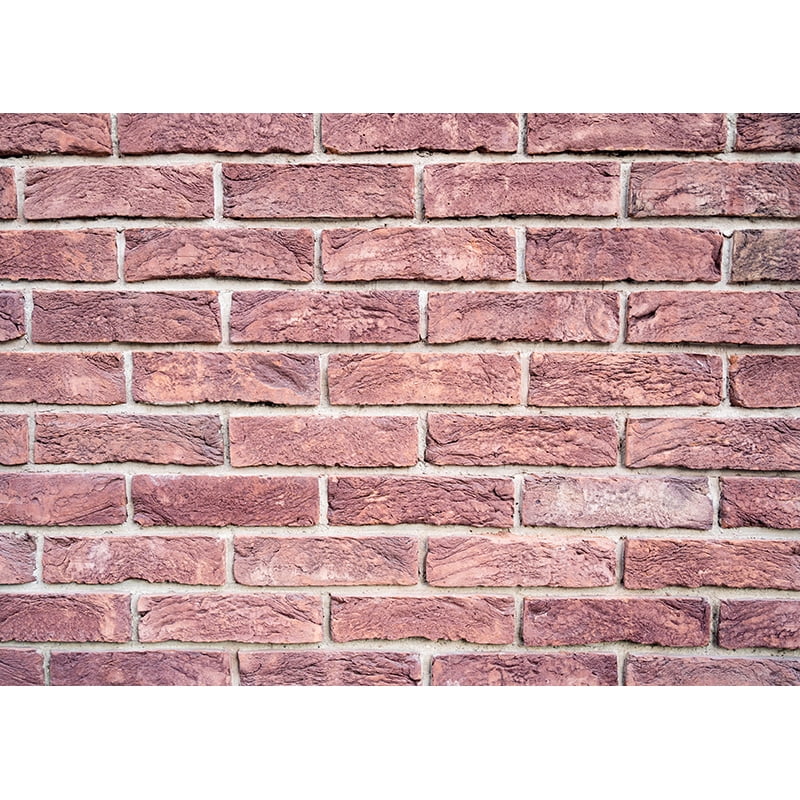 Vintage Brick Wall Backdrop Art Photography Backdrops Photographic ...