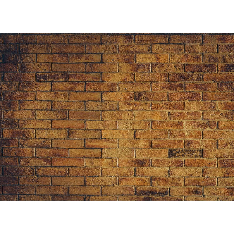 Vintage Brick Wall Backdrop Art Photography Backdrops Photographic ...