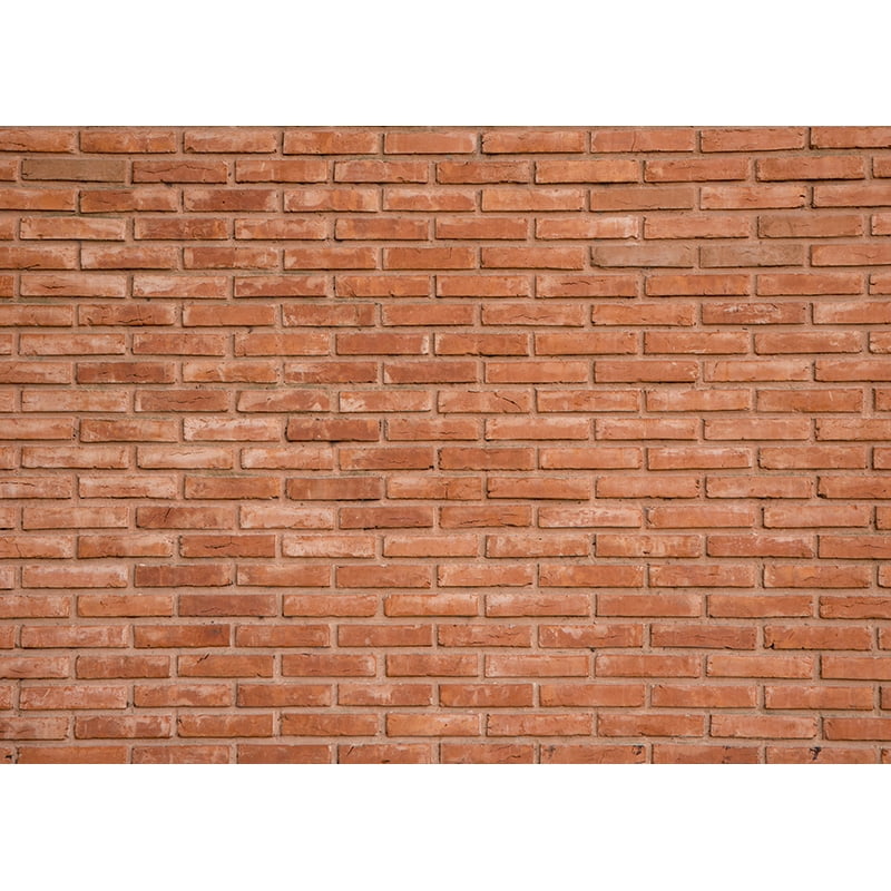 Vintage Brick Wall Backdrop Art Photography Backdrops Photographic ...