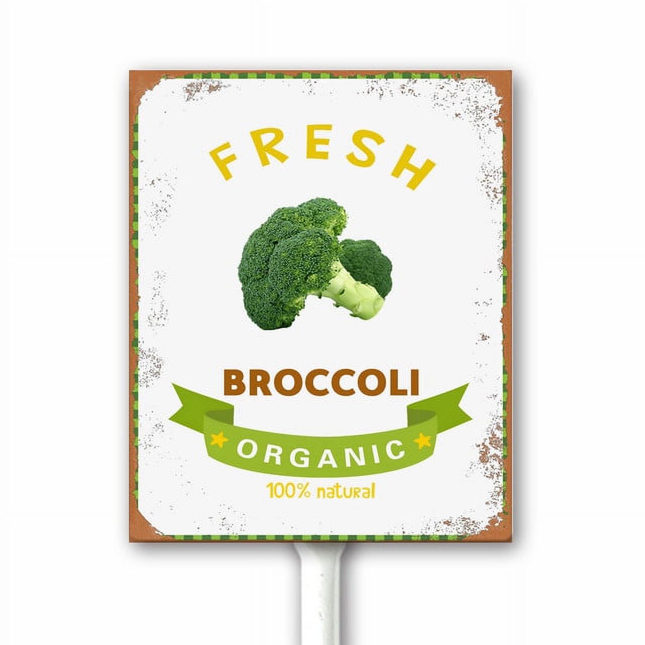 Vintage Broccoli Vegetable Garden Signs Metal Yard Sign With Stake ...