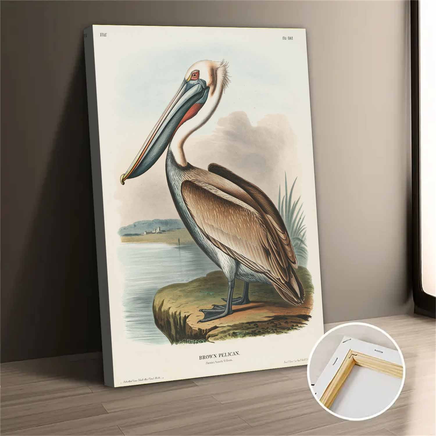 Vintage Brown Pelican Canvas Wall Art Print for Bedroom Living Room ...