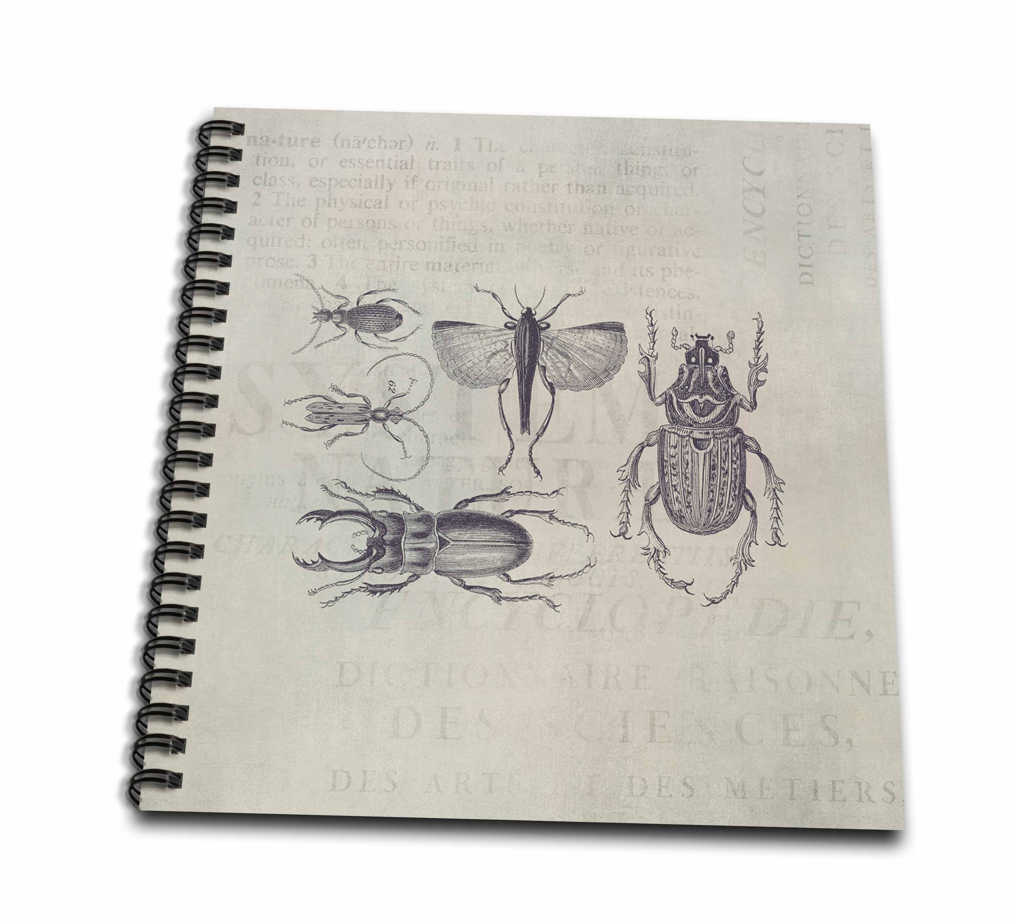 3dRose, Vintage Bugs And Beetles Illustration, Drawing Book 8 x 8 inch ...