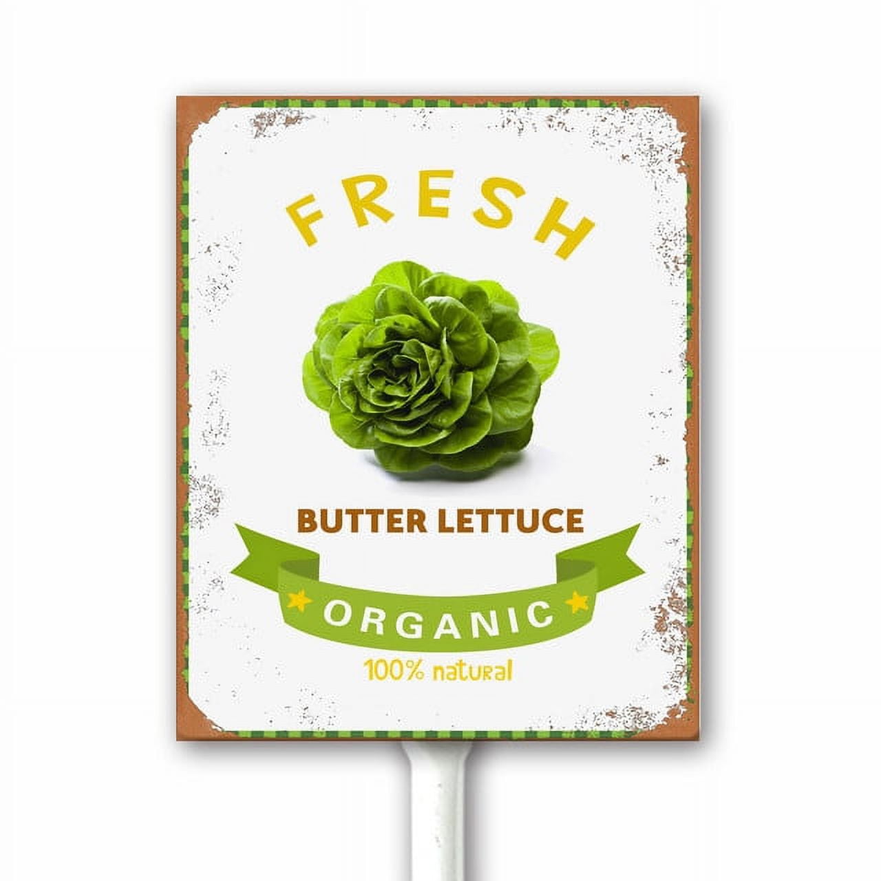 Vintage Butter Lettuce Vegetable Garden Signs Metal Yard Sign With ...