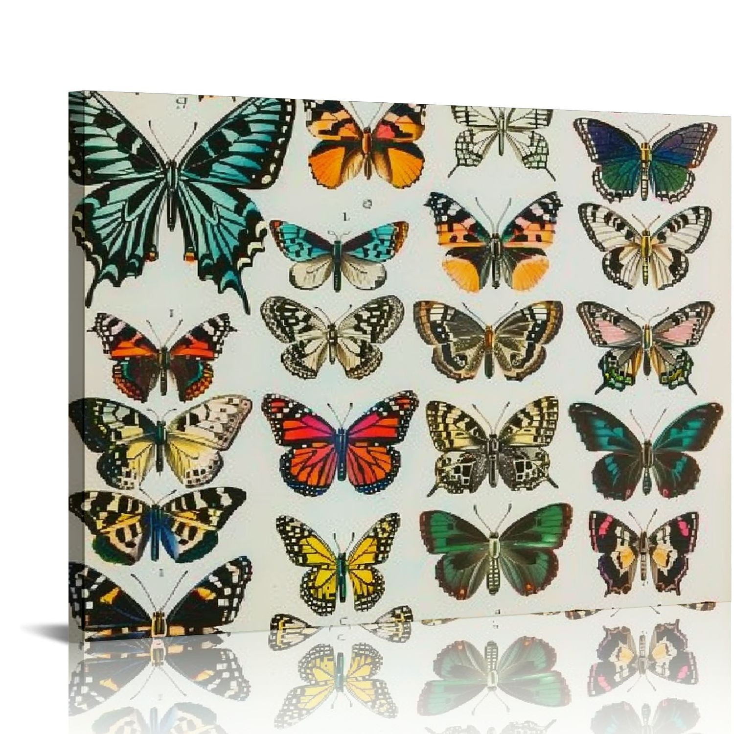Vintage Butterfly Hanging Wall Decor Print Retro Butterflies Posters ...