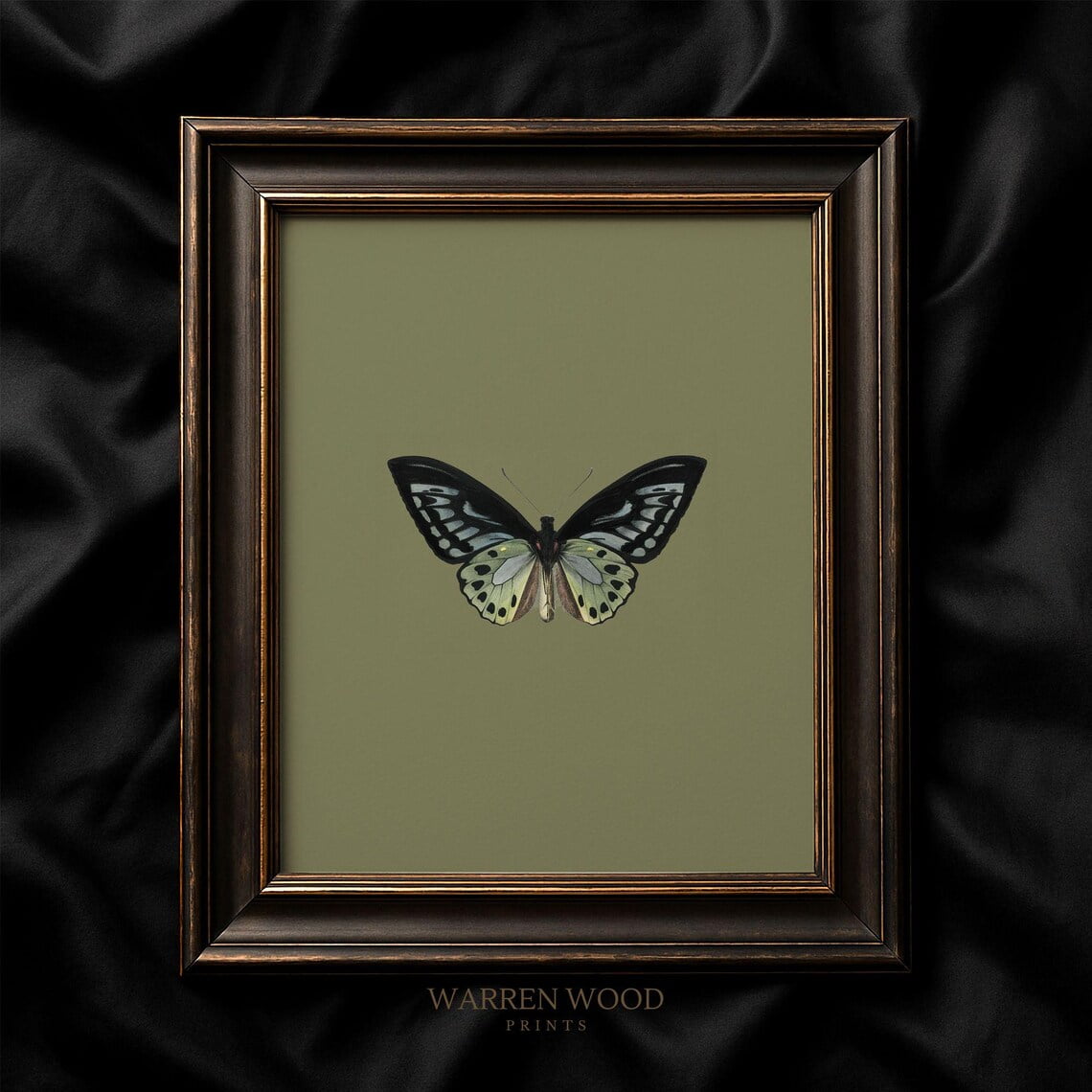 Vintage Butterfly Print, Olive Green Wall Art, Nature,Inspired Decor ...