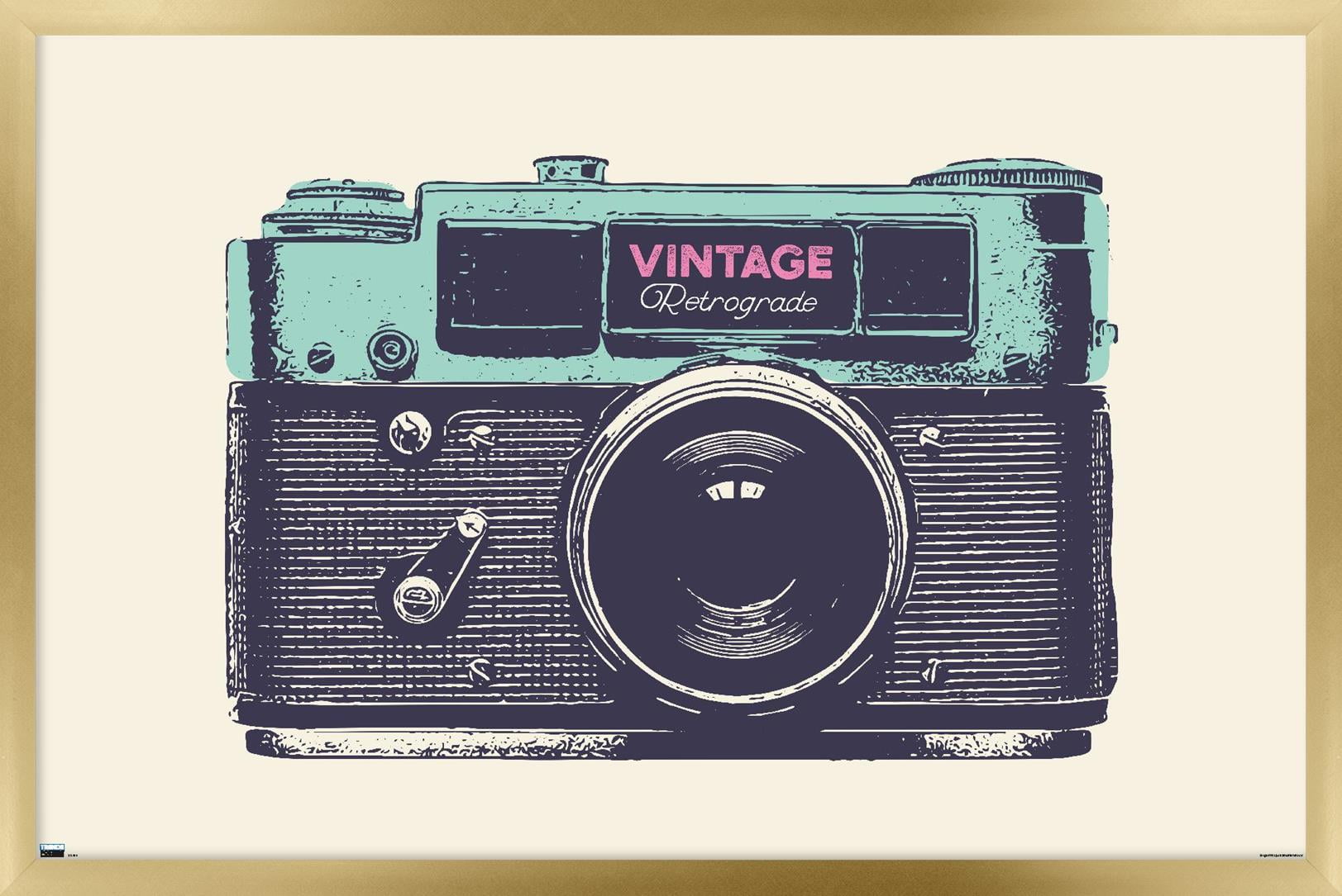 Antique Camera Art