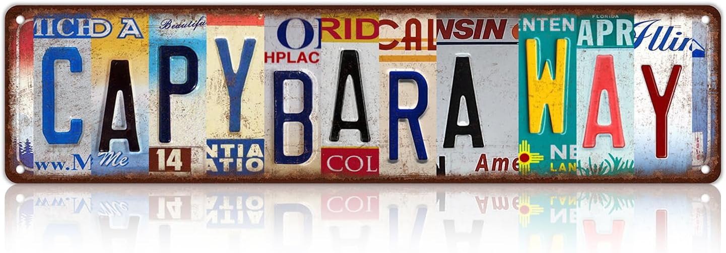 Vintage Capybara Way Decor Street Signs Metal Tin Signs 16 x 4 Inches ...