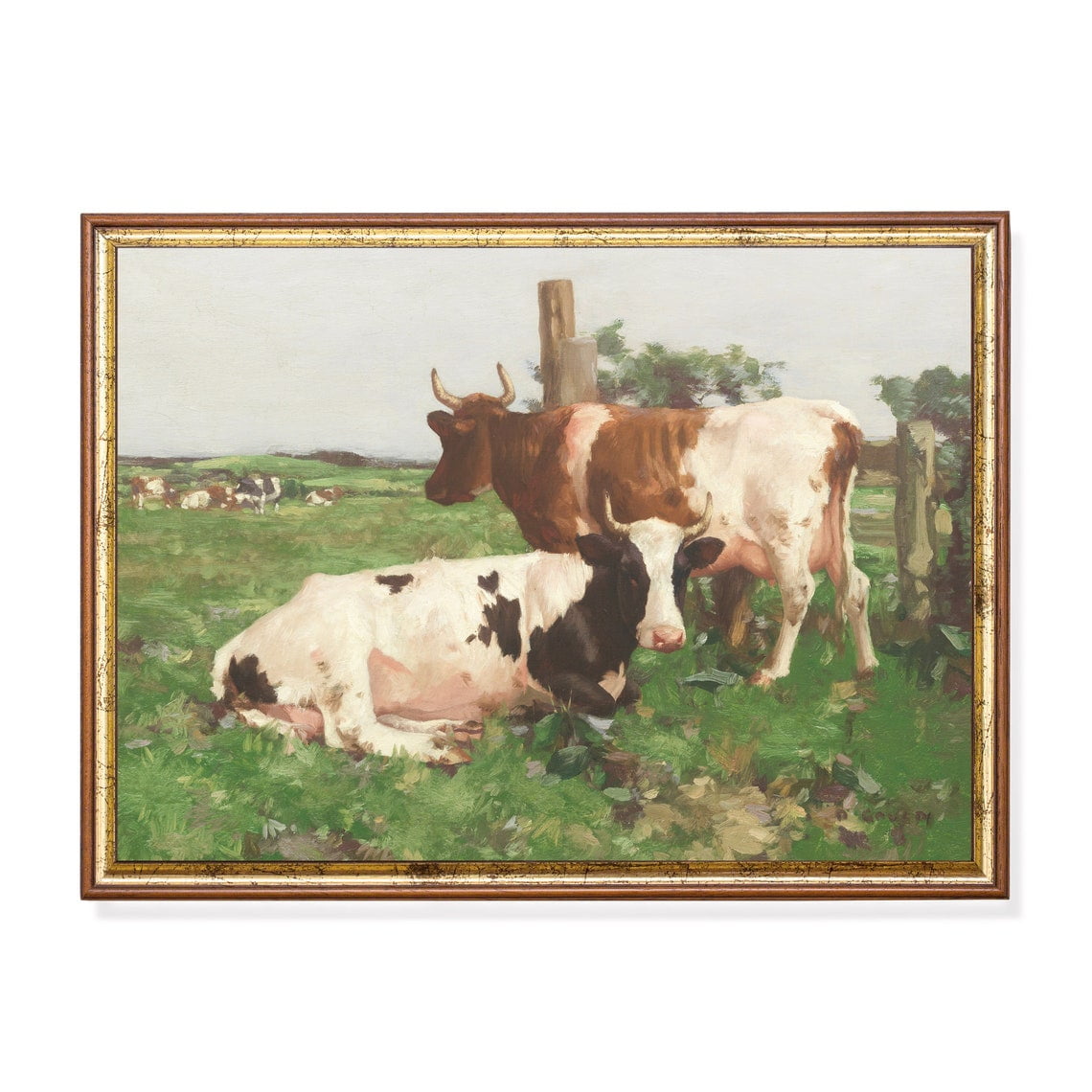 Vintage Cattle Poster Rustic Farmhouse Decor, Antique Cow Art Home ...