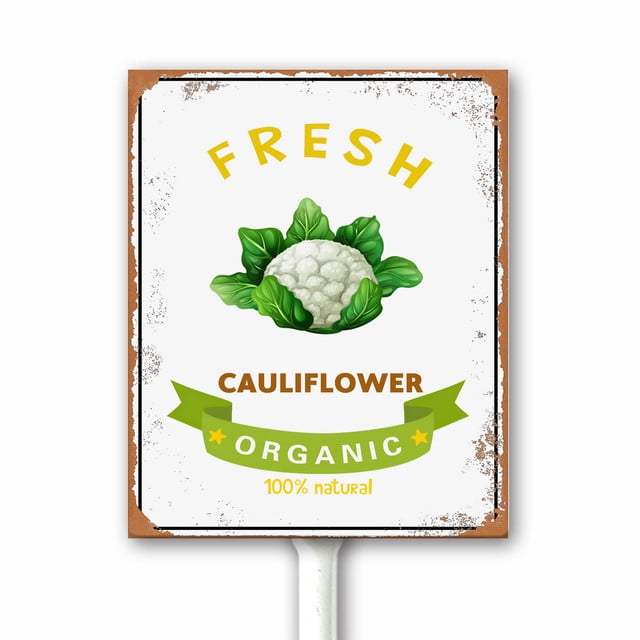 Vintage Cauliflower Metal Sign Outdoor Plant Label Funny Vegetable ...