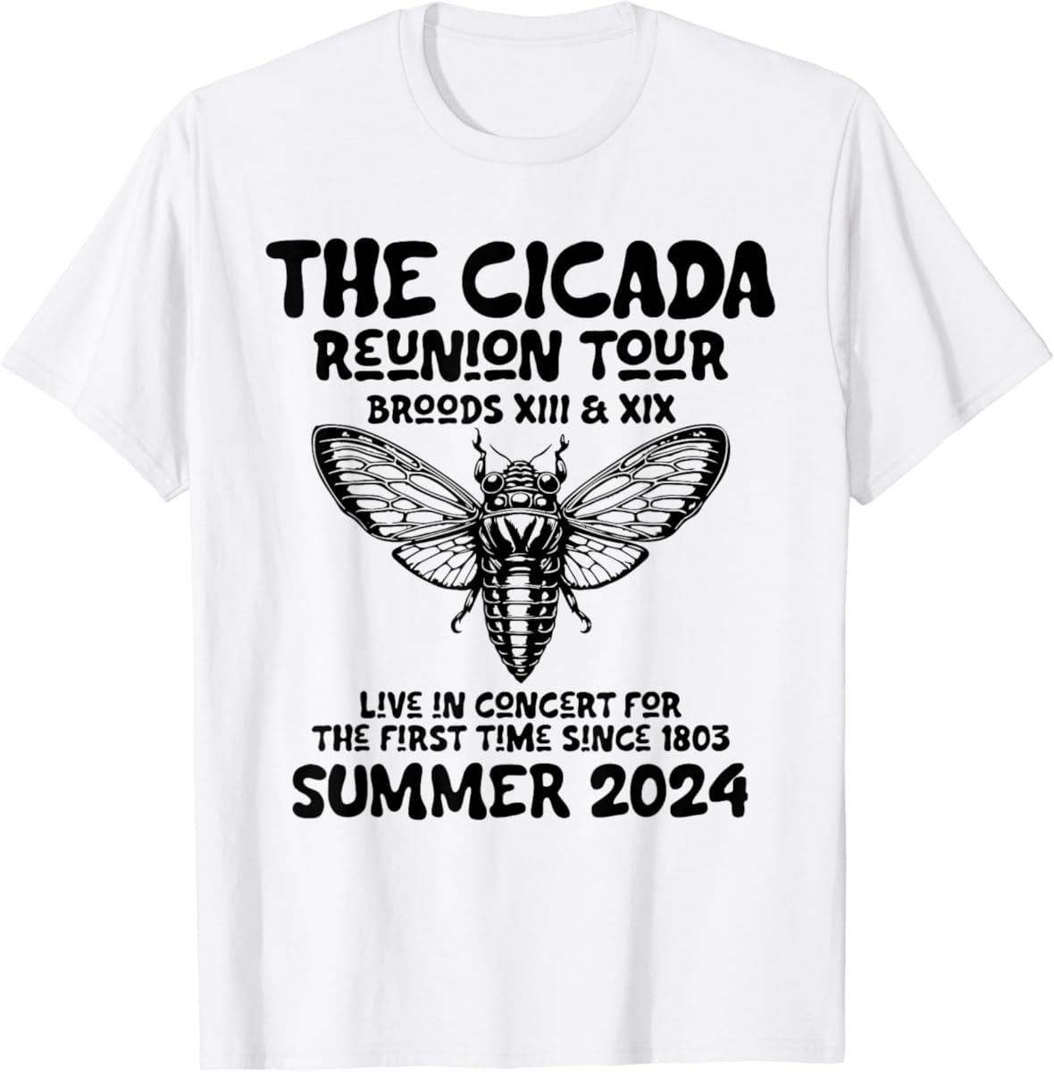 Vintage Cicada Brood XIII XIX Summer 2024 Reunion Tour Swarm Cicadas T ...