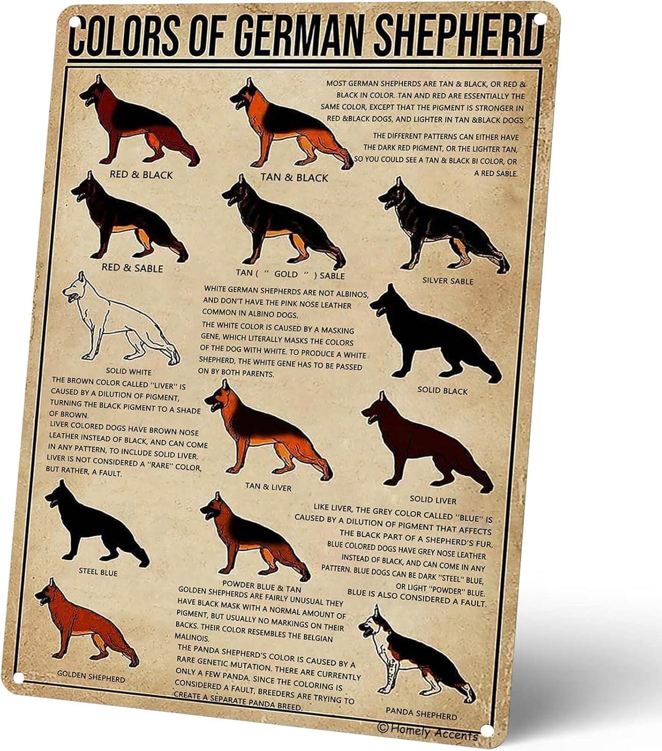 Vintage Colors Of German Shepherd Metal Tin Sign, Educational Poster ...