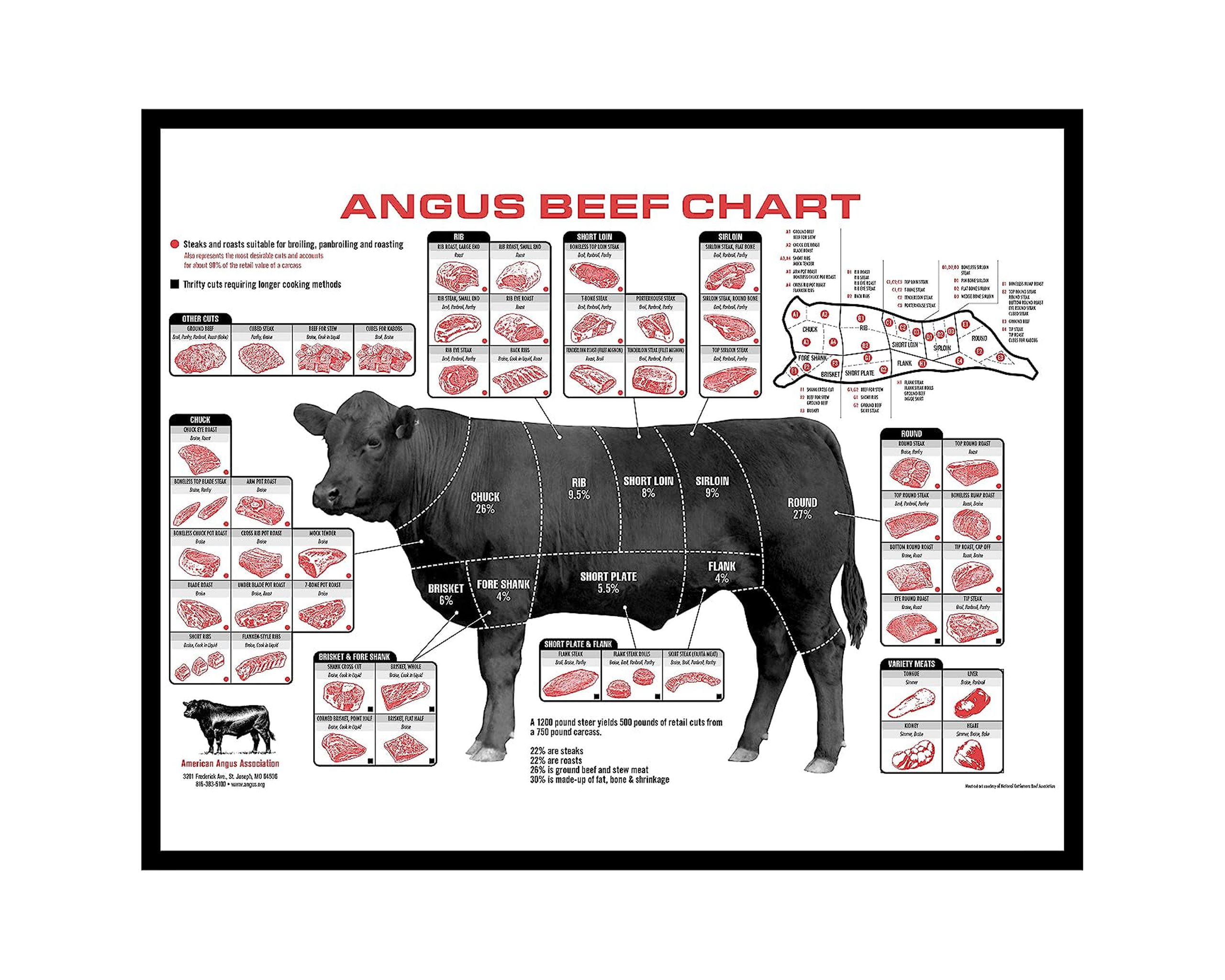 Iconic Arts Angus Beef Cuts Of Meat Chart Poster 18x24 - Walmart.com