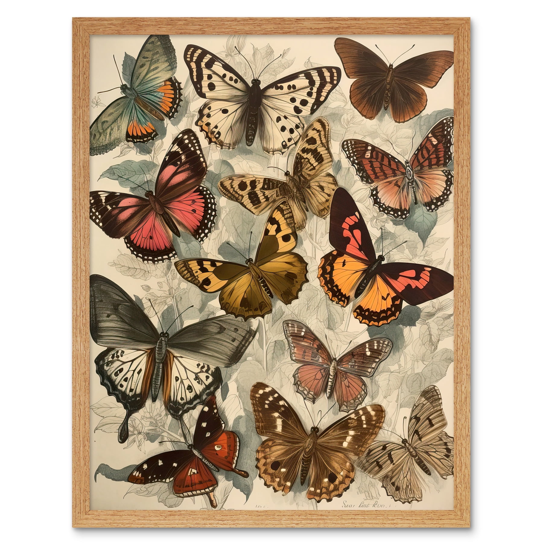 Vintage Cottagecore Aesthetic Butterflies Colour Pencil Insect Study ...