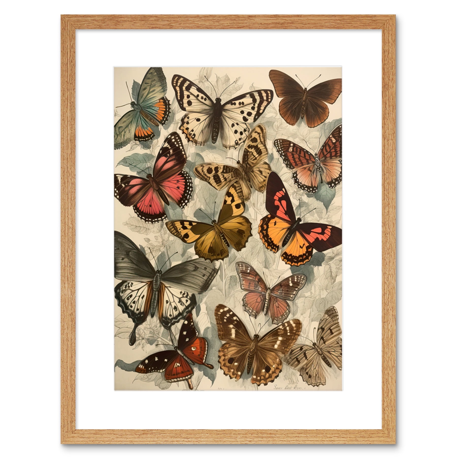 Vintage Cottagecore Aesthetic Butterflies Colour Pencil Insect Study ...