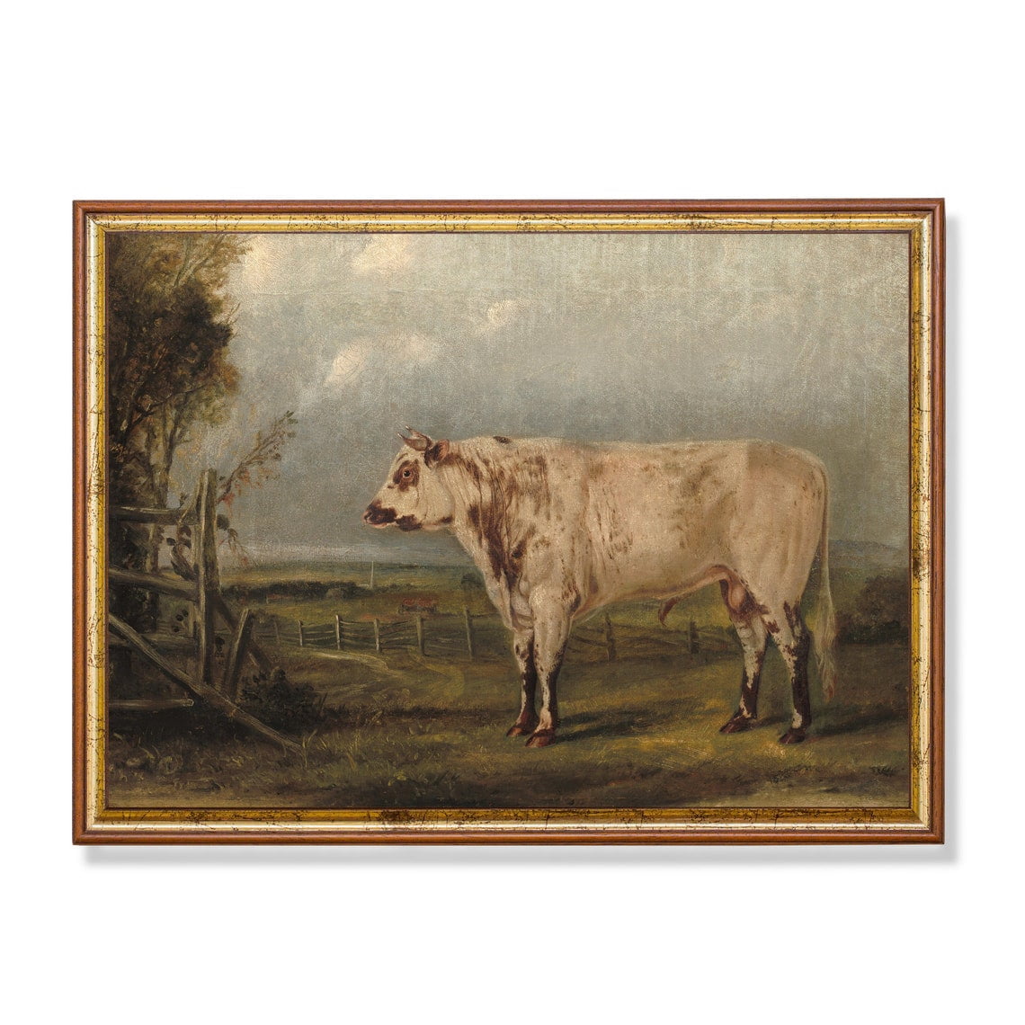 Vintage Cow Poster Th Century Farmhouse Wall Art Home Decor UNFRAMED ...