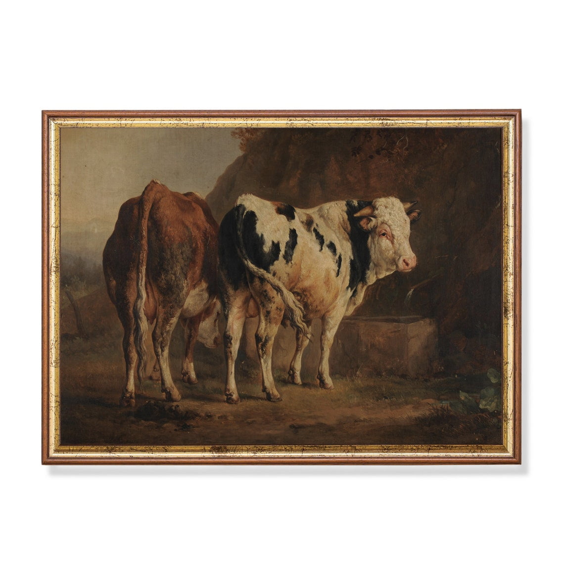 Vintage Cow Print Poster 19th Century Farmhouse Art, Size 16x24 ...