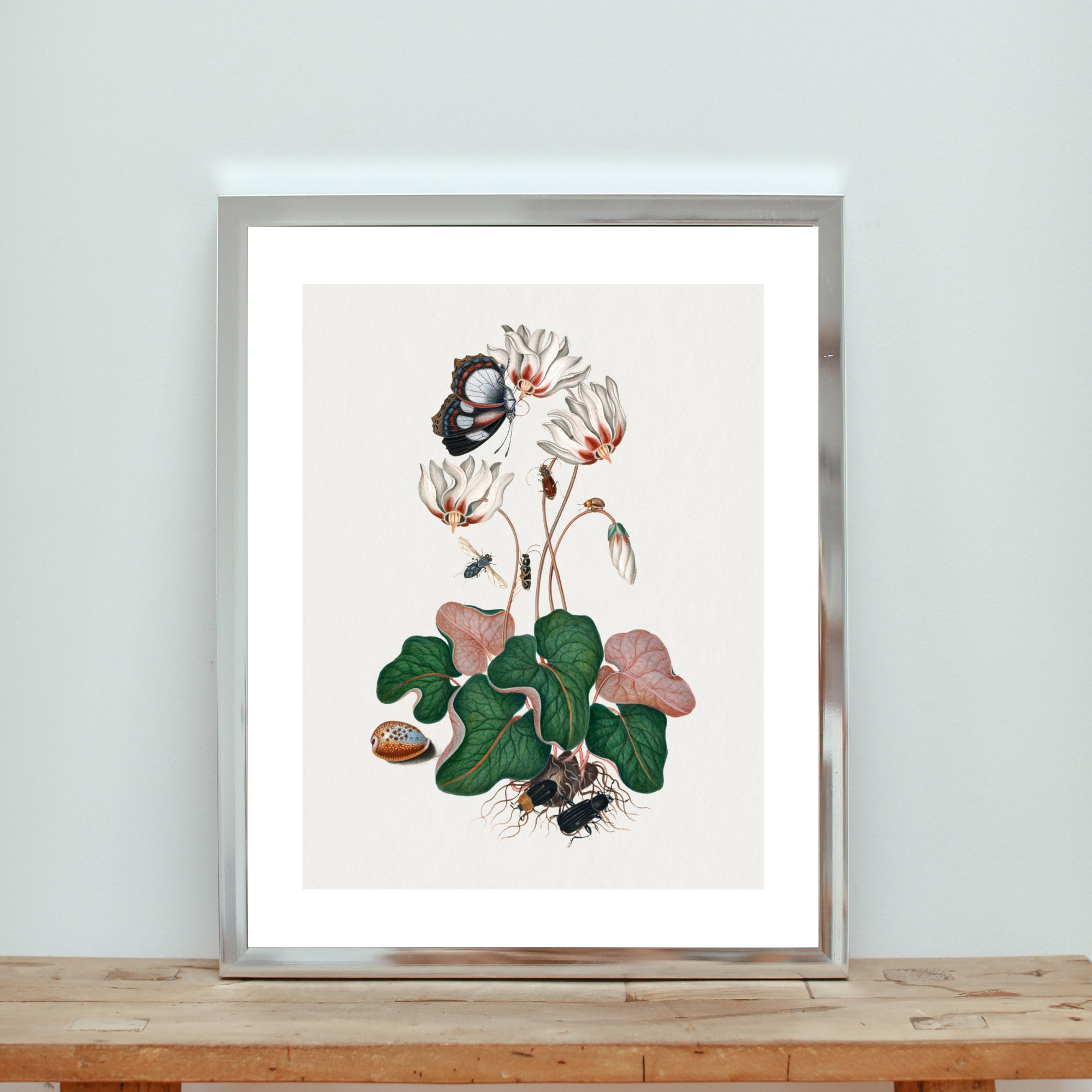 Vintage DIGITAL Wall Art Printable, Cyclamen, Northern Dune Tiger ...