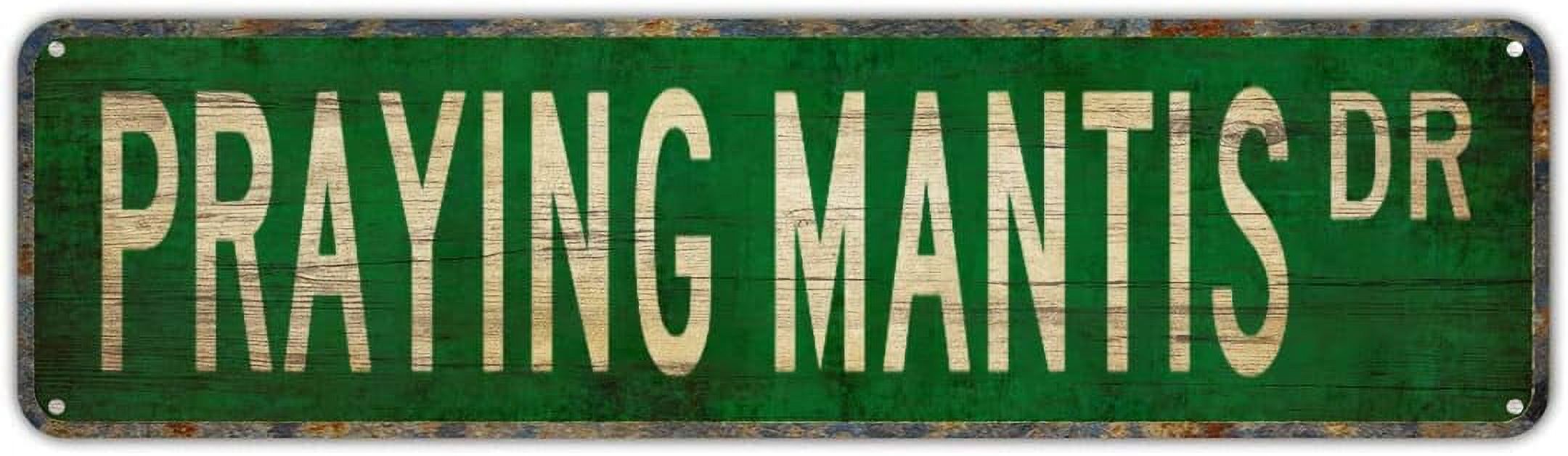 Vintage Decor Wall Signs Praying Mantis Praying Mantis Gift Praying ...