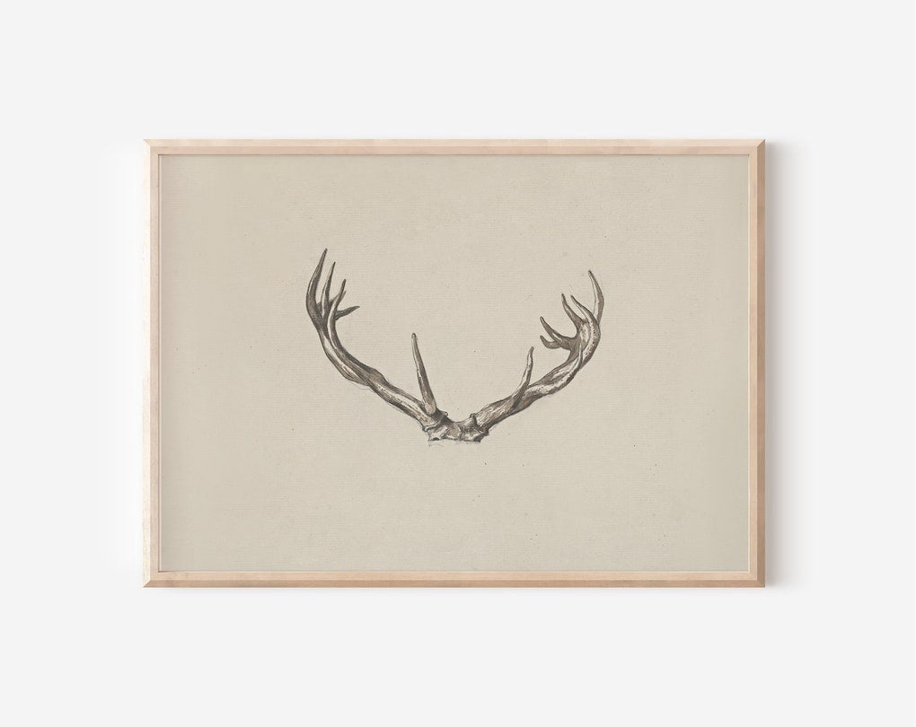 Vintage Deer Antlers Sketch Print Downloadable Prints Printable Wall ...