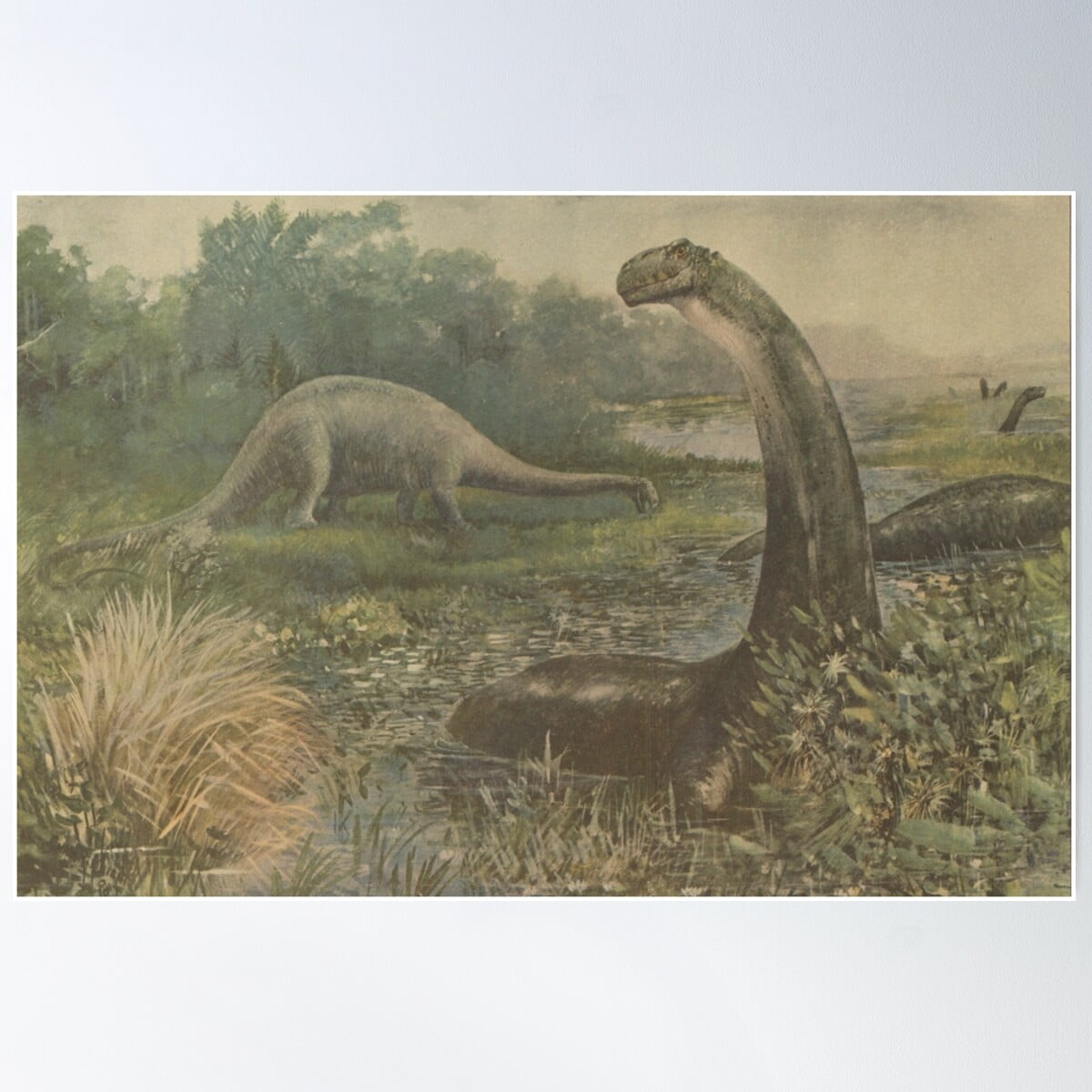 Vintage Dinosaur Paleoart - Brontosaurus And Diplodocus Poster Wall Art ...