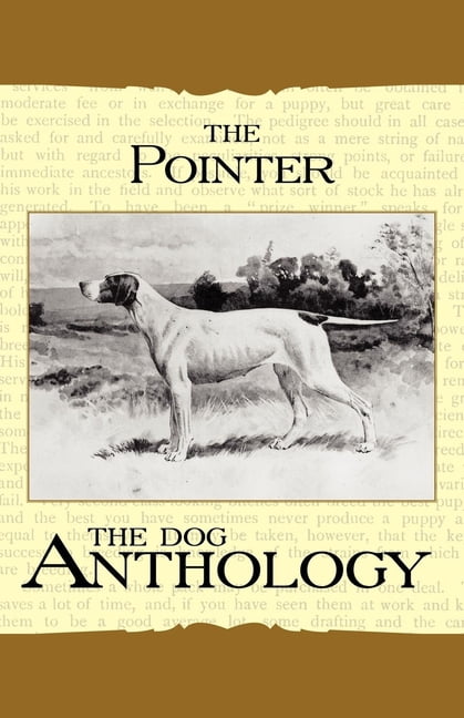 Vintage Dog Books Breed Classic: The Pointer - A Dog Anthology (A ...