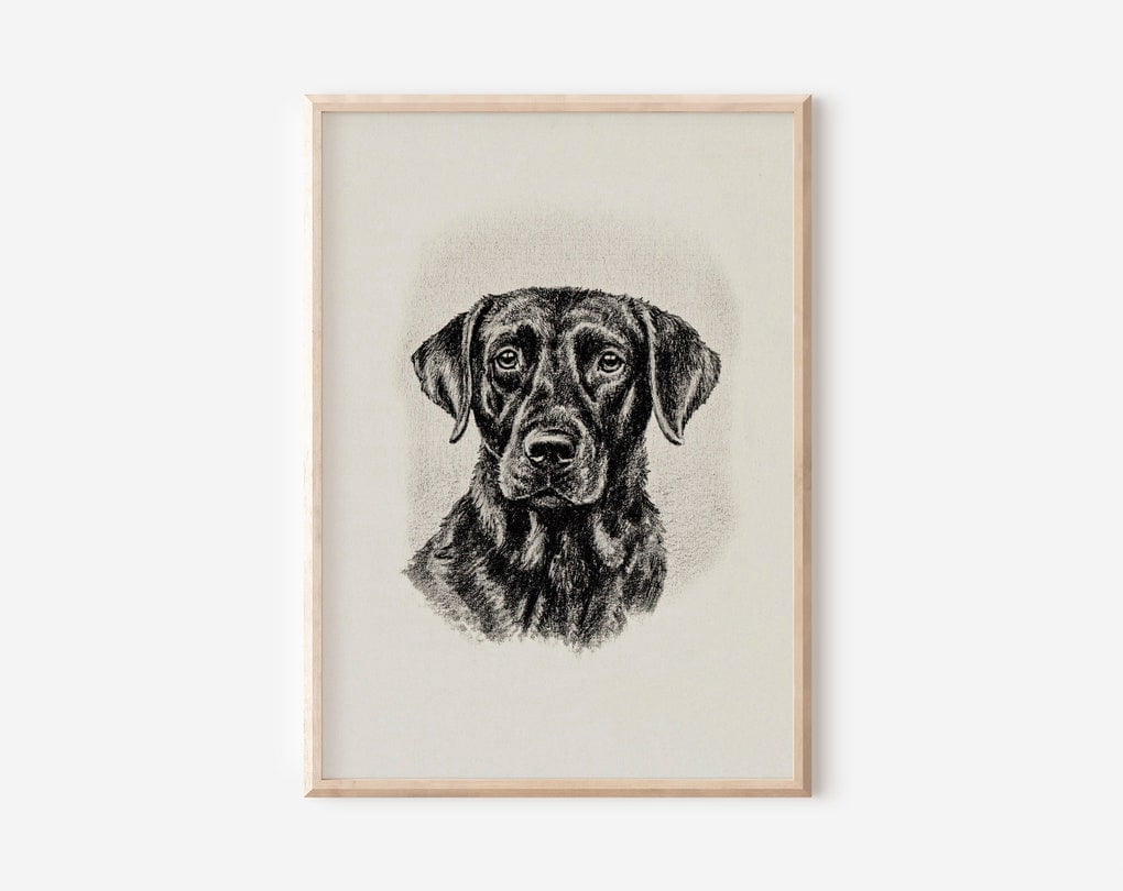 Vintage Dog Sketch Printable Wall Art Of Dogs Print Yourself Antique ...