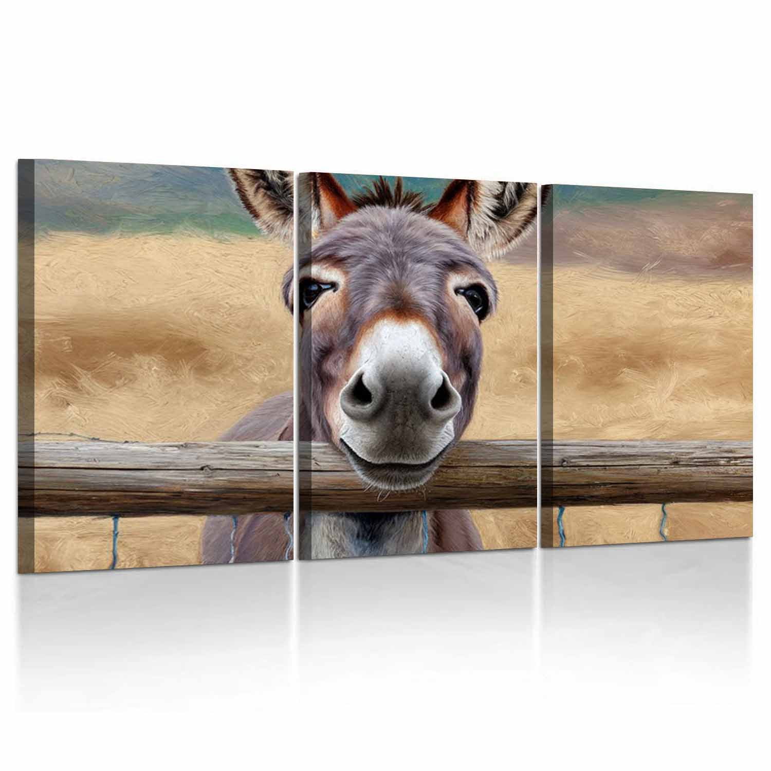 Vintage Donkey 3 Panels Modern Canvas Wall Art Print for Bedroom Living ...