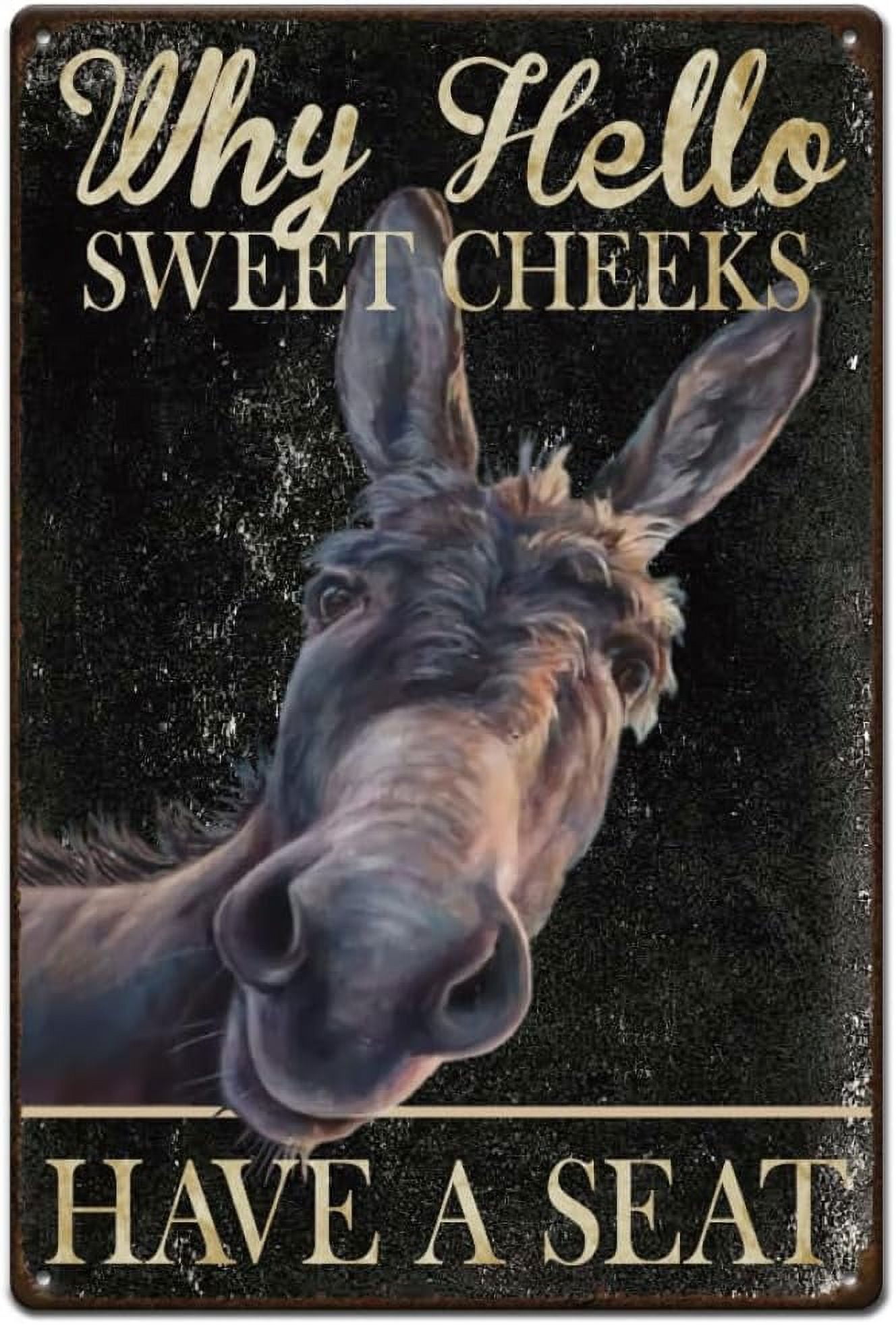 Vintage Donkey Art Metal Signs Funny Sign Why Hello Sweet Cheeks Have A ...