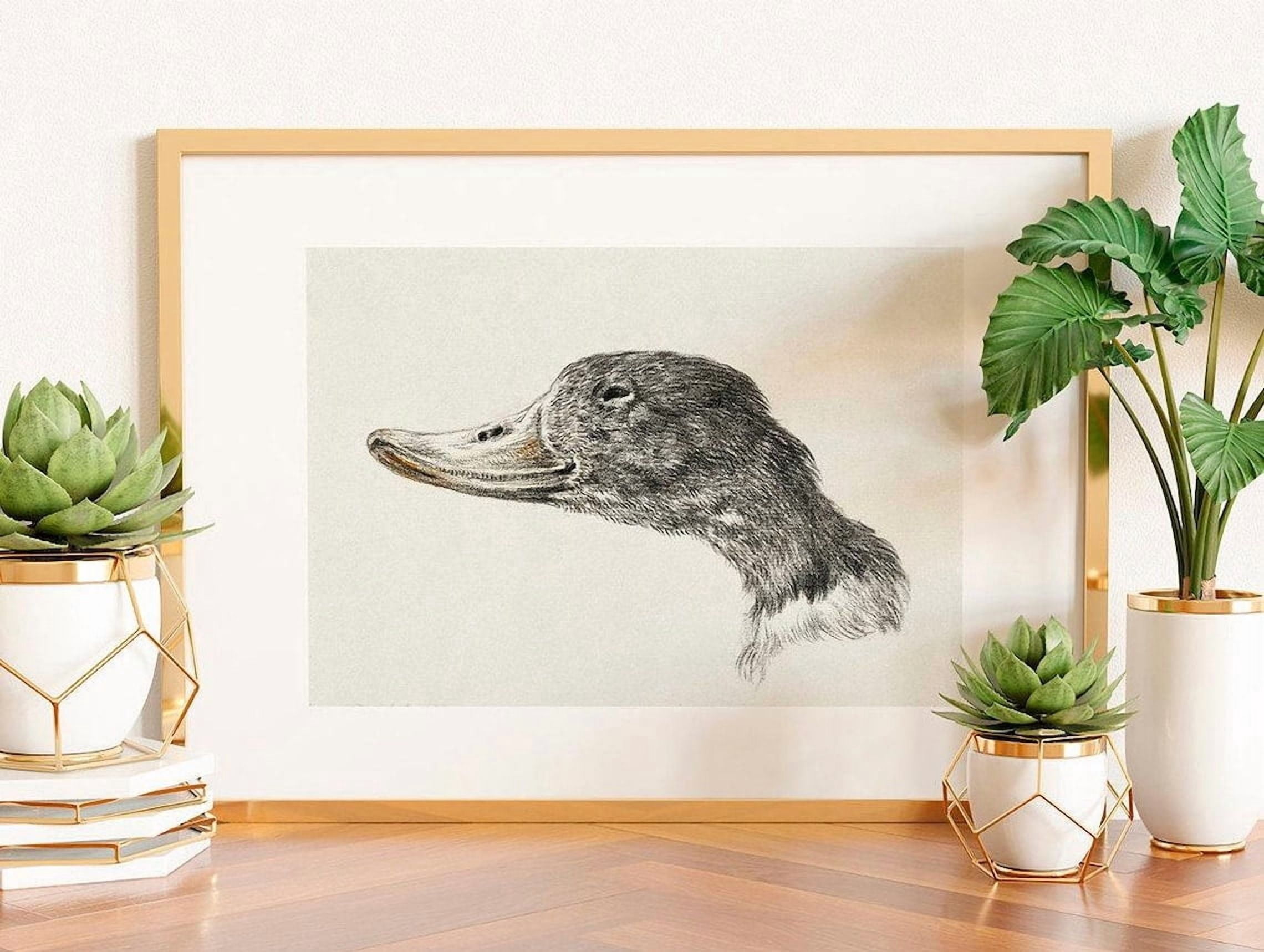 Vintage Duck Head Poster Shelduck Drawing Farmhouse Nursery Art Poster ...