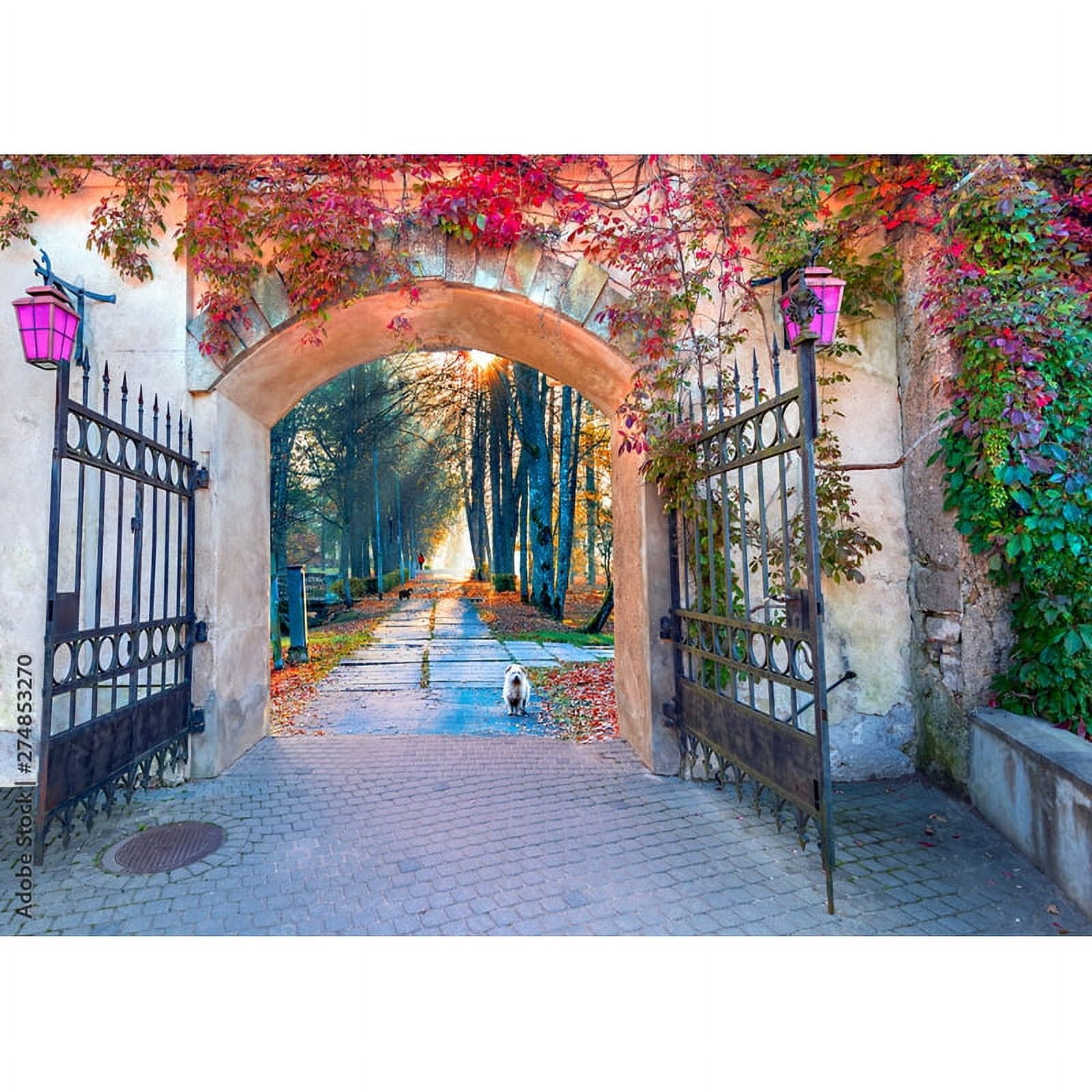 Vintage European Street View Scenery Photography Backdrops Props ...