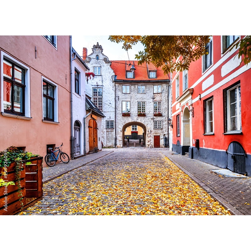 Vintage European Street View Scenery Photography Backdrops Props ...