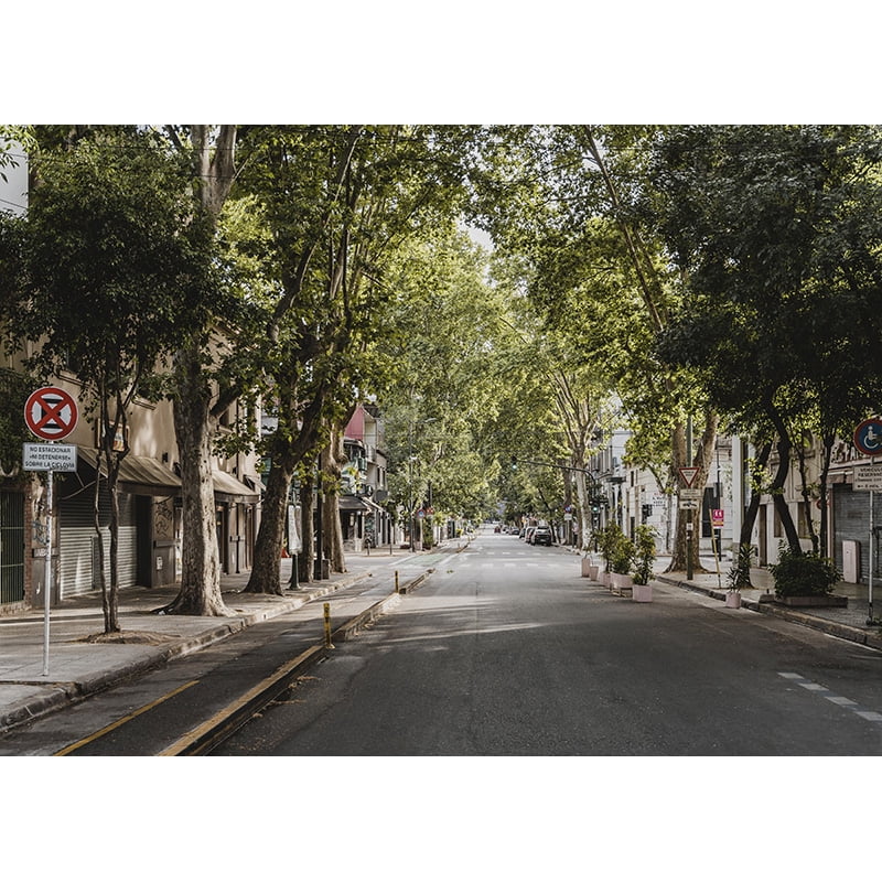 Vintage European Street View Scenery Photography Backdrops Wedding ...