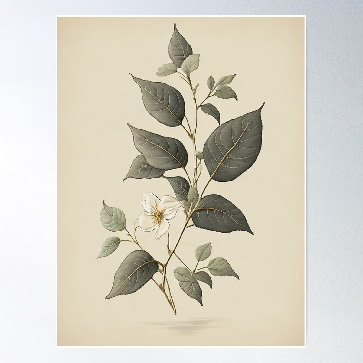 Vintage Fantasy Image Of An Jimson Weed Poster Wall Art, Modern Wall ...